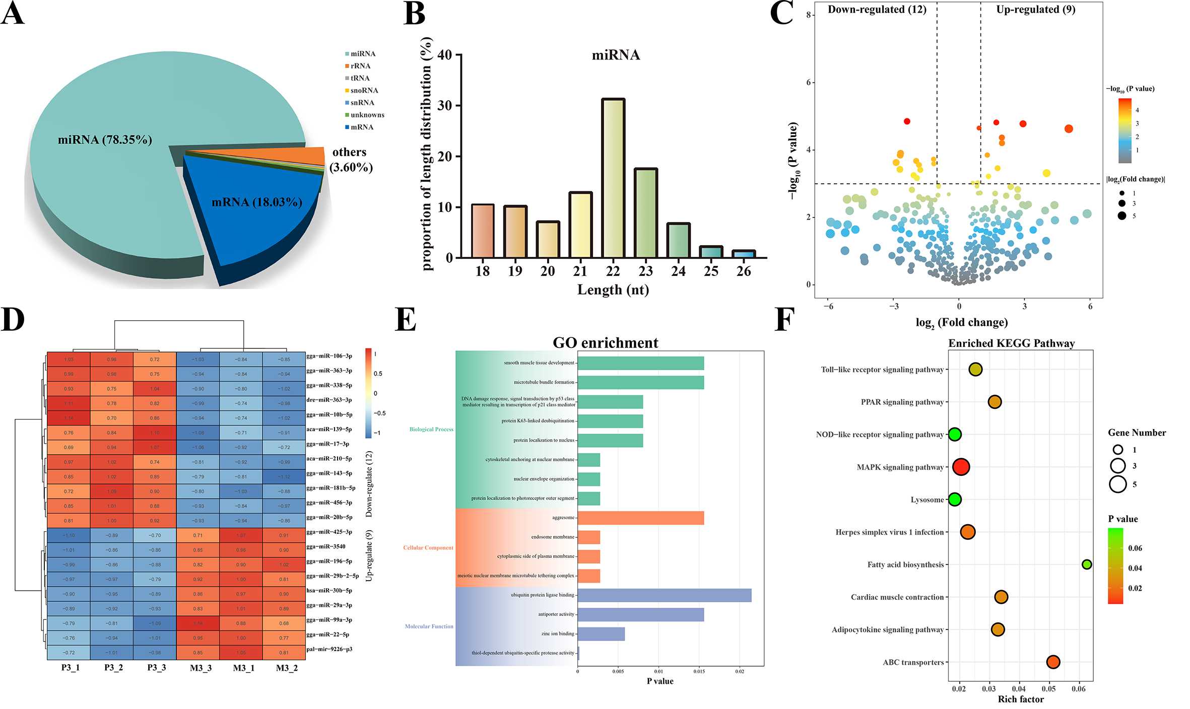 Homepage of Longsheng Hong
