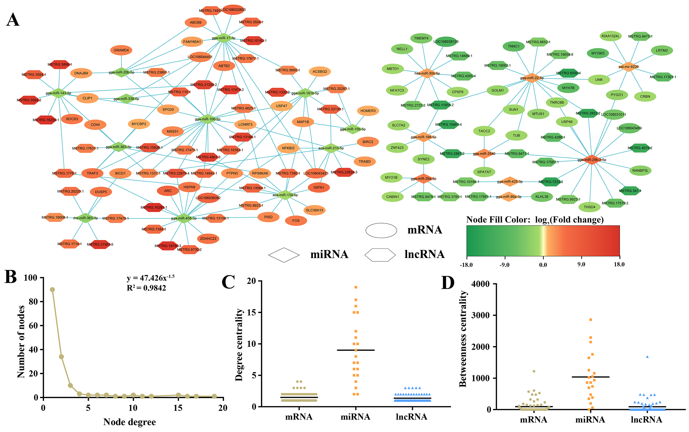 Homepage of Longsheng Hong